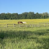 Finchampstead Ridges and Blackwater Valley Circular, Berkshire, England ...
