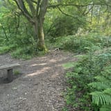 Finchampstead Ridges and Blackwater Valley Circular, Berkshire, England ...