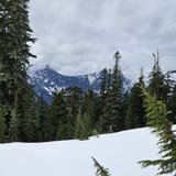 Mount Forgotten Meadows Trail, Washington - 353 Reviews, Map | AllTrails
