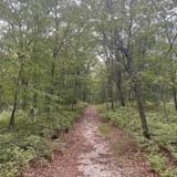 West Hills Park Purple and Orange Loops, New York - 806 Reviews, Map ...