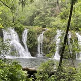 Beaver Falls, Washington - 283 Reviews, Map | AllTrails