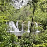 Beaver Falls, Washington - 283 Reviews, Map | AllTrails