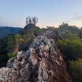 Pages Pinnacle , Queensland, Australia - 1,452 Reviews, Map | AllTrails