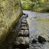 Chee Dale Gorge Circular, Derbyshire, England - 1,550 Reviews, Map ...