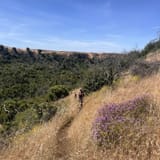 Phantom Falls Loop, California - 1,127 Reviews, Map | AllTrails