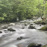 Mouse Creek Falls via Big Creek Trail, Tennessee - 2,838 Reviews, Map ...
