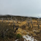 Cuernos Lookout, Magallanes, Chile - 573 Reviews, Map | AllTrails