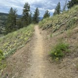 High Drive Parkway Trail, Washington - 746 Reviews, Map | AllTrails