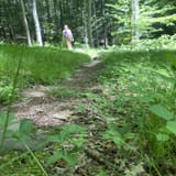 Zoar Trail, Connecticut - 2,361 Reviews, Map | AllTrails