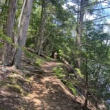 Zoar Trail, Connecticut - 2,247 Reviews, Map | AllTrails