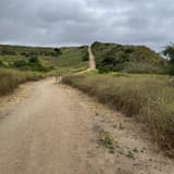 Peters Canyon Loop Trail, California - 4,807 Reviews, Map | AllTrails
