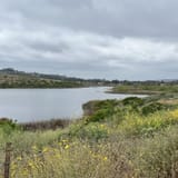 Peters Canyon Loop Trail, California - 4,807 Reviews, Map | AllTrails