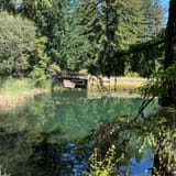 Lake Lagunitas, California - 645 Reviews, Map | AllTrails