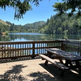 Lake Lagunitas, California - 645 Reviews, Map | AllTrails