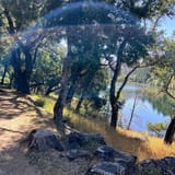 Lake Lagunitas, California - 645 Reviews, Map | AllTrails