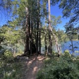 Lake Lagunitas, California - 645 Reviews, Map | AllTrails