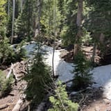 Whipple Trail, Utah - 297 Reviews, Map | AllTrails