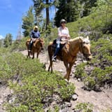 Whipple Trail, Utah - 297 Reviews, Map | AllTrails