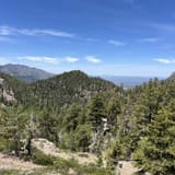 Whipple Trail, Utah - 297 Reviews, Map | AllTrails