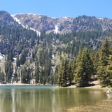 Middle Fork Lake Trail, New Mexico - 919 Reviews, Map | AllTrails