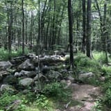 Ramapo Reservation Loop Trail, New Jersey - 1,762 Reviews, Map | AllTrails