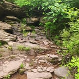 High Rocks, Pennsylvania - 3,221 Reviews, Map | AllTrails