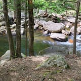 Reeves Brook Loop Trail, New York - 4,717 Reviews, Map | AllTrails