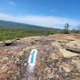 Reeves Brook Loop Trail, New York - 4,717 Reviews, Map | AllTrails