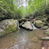 Kelly's Run Loop Trail, Pennsylvania - 3,458 Reviews, Map | AllTrails