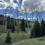 Crystal Springs Loop, Utah - 126 Reviews, Map | AllTrails