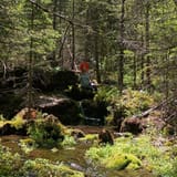 Botany Canyon, South Dakota - 508 Reviews, Map | AllTrails