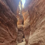 Wire Pass Trail, Utah - 3,026 Reviews, Map | AllTrails