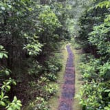 Pase Point Trail, West Virginia - 315 Reviews, Map | AllTrails