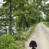 Blockhouse Point Loop Trail, Maryland - 1,066 Reviews, Map | AllTrails