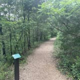Tanyard Perimeter Loop, Arkansas - 2,700 Reviews, Map | AllTrails