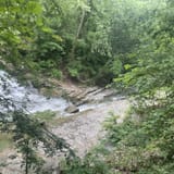 Tanyard Perimeter Loop, Arkansas - 2,865 Reviews, Map | AllTrails