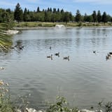 North Natomas Loop, California - 517 Reviews, Map | AllTrails