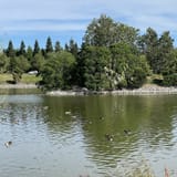North Natomas Loop, California - 517 Reviews, Map | AllTrails