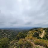 Trippet Ranch to Eagle Springs Loop Trail, California - 842 Reviews ...