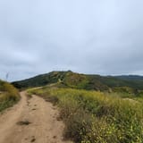 Trippet Ranch to Eagle Springs Loop Trail, California - 842 Reviews ...