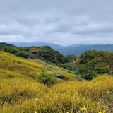Trippet Ranch to Eagle Springs Loop Trail, California - 842 Reviews ...