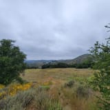 Trippet Ranch to Eagle Springs Loop Trail, California - 842 Reviews ...
