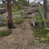Heizer Trail, Colorado - 1,066 Reviews, Map | AllTrails