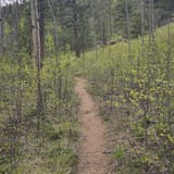 Heizer Trail, Colorado - 1,066 Reviews, Map | AllTrails