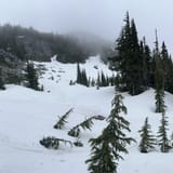 Flora Lake Trail, British Columbia, Canada - 96 Reviews, Map | AllTrails