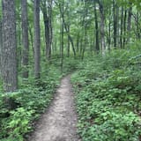Seven Lakes Loop, Michigan - 908 Reviews, Map | AllTrails