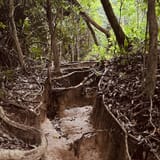 Bukit Jambul - Bukit Kukus Loop, Penang, Malaysia - 530 Reviews, Map ...