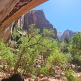 Kayenta Trail to the Emerald Pools, Utah - 3,546 Reviews, Map | AllTrails