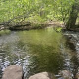 Dry Pond Loop, Nevada - 1,505 Reviews, Map | AllTrails