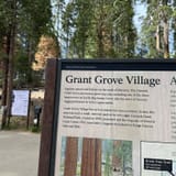General Grant Trail, California - 2,925 Reviews, Map | AllTrails